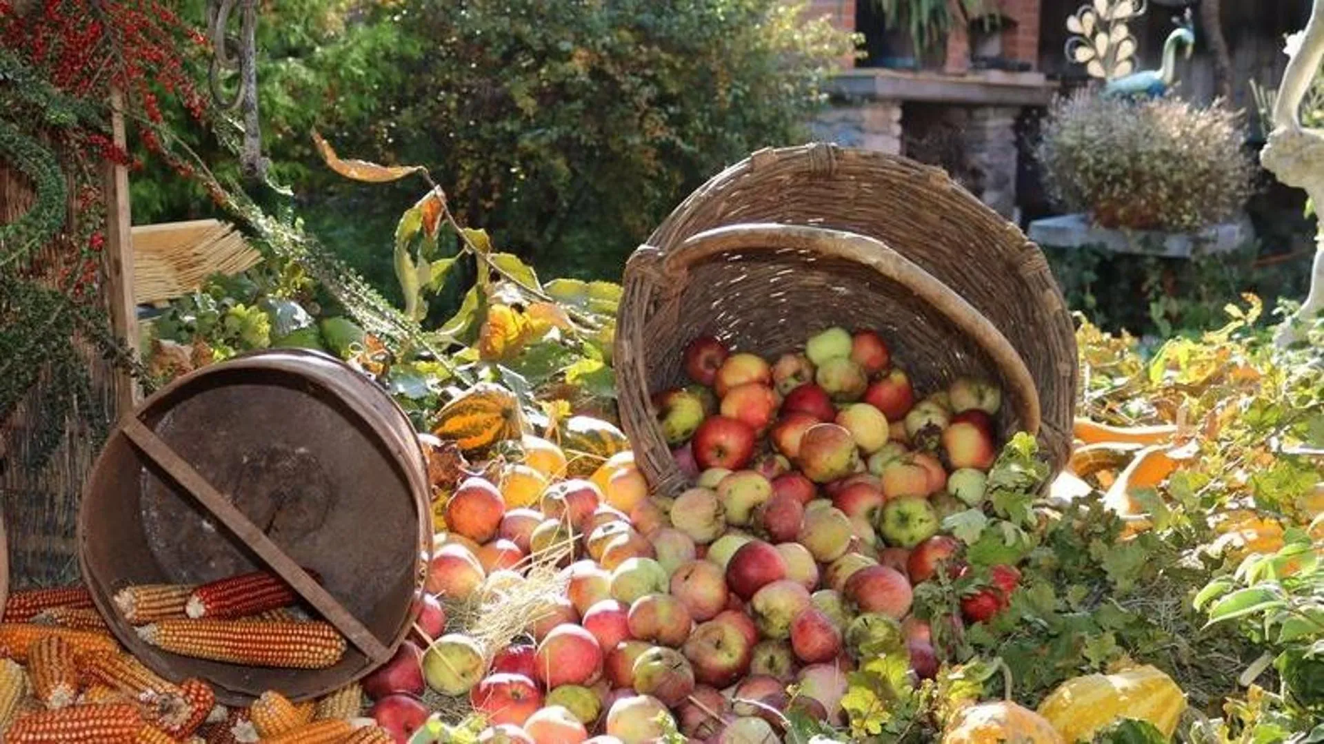 Mele a Mel – Mostra Mercato della Mela Ottobre 2025 a Mel - Eventi Italiani